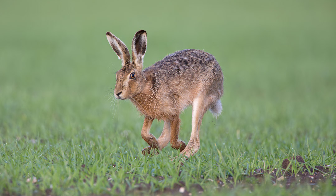 Home - Pete Walkden Photography